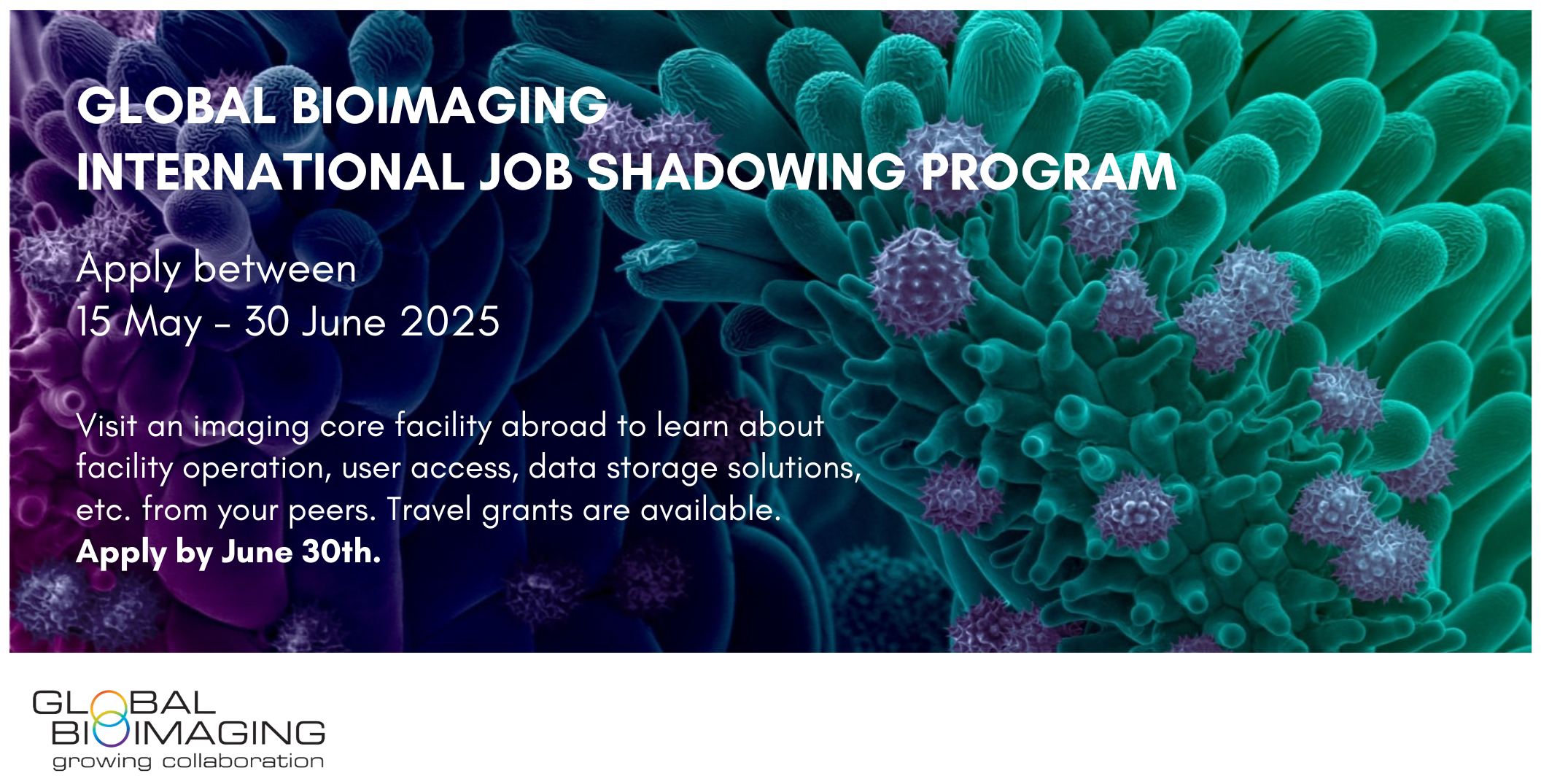 International Job Shadowing Program - Open Call for 2025 | Global ...